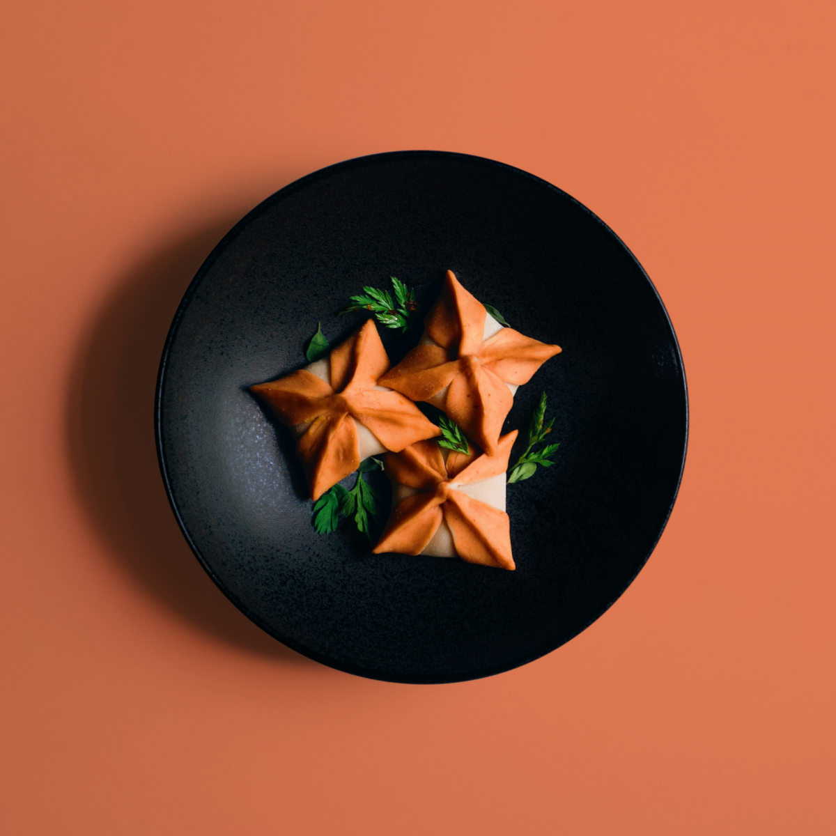 Origami Dumplings with Roasted Carrot and Pork | Little Fat Boy